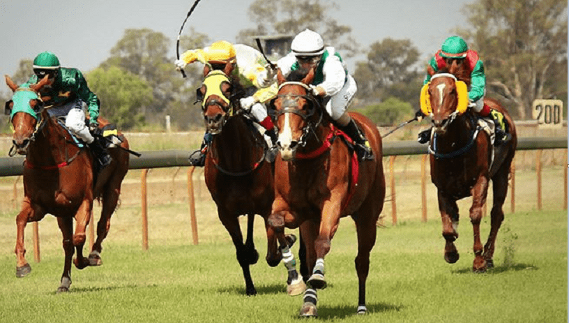 Gatton Preview & Best Bets – 17/03/2024 - RacingBase June 3, 2026