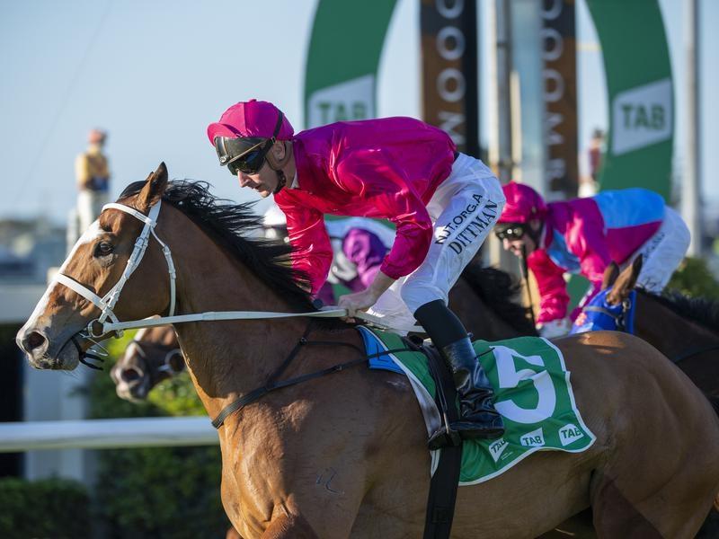 Doomben Preview & Best Bets – 24/01/2024 - RacingBase May 10, 2026