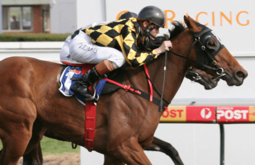 Thousand Guineas History - RacingBase
