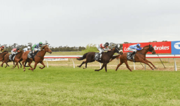 Murtoa Tips | Expert Race Predictions & Best Bets - RacingBase