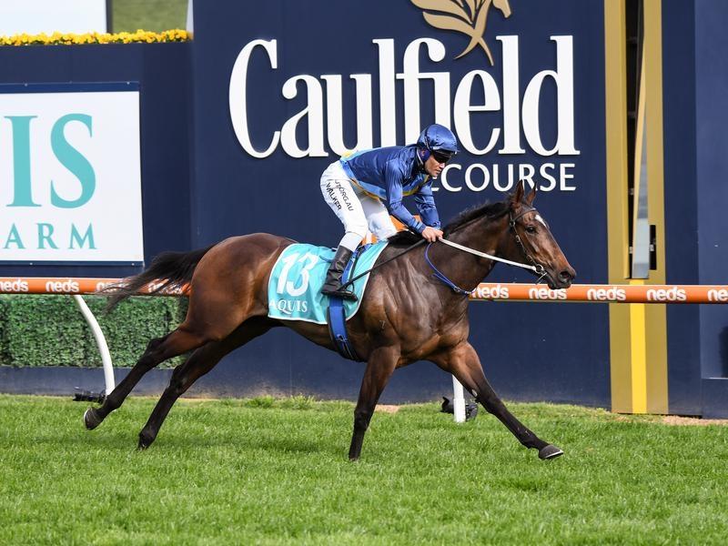 Caulfield Tips & Preview 21/10/2023 | Save the Best for Last