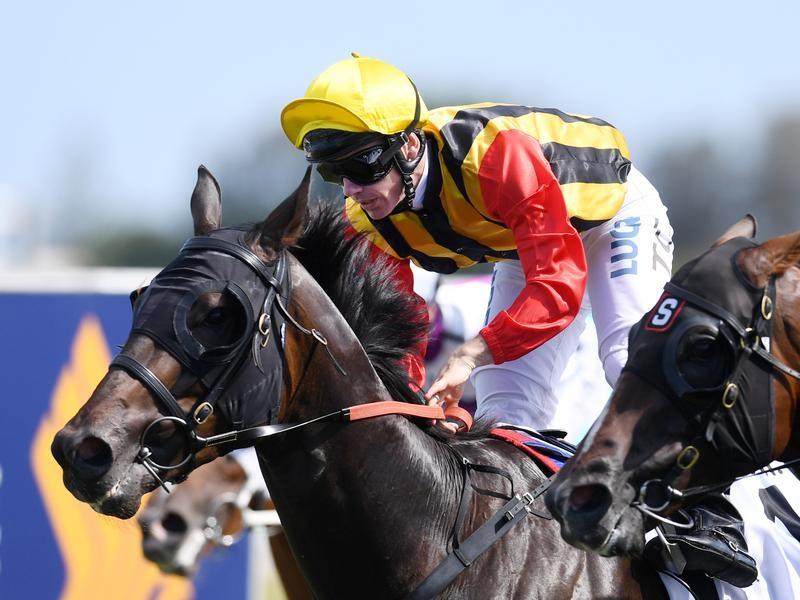 Toowoomba Preview Saturday September 24 | Tips and Best Bets