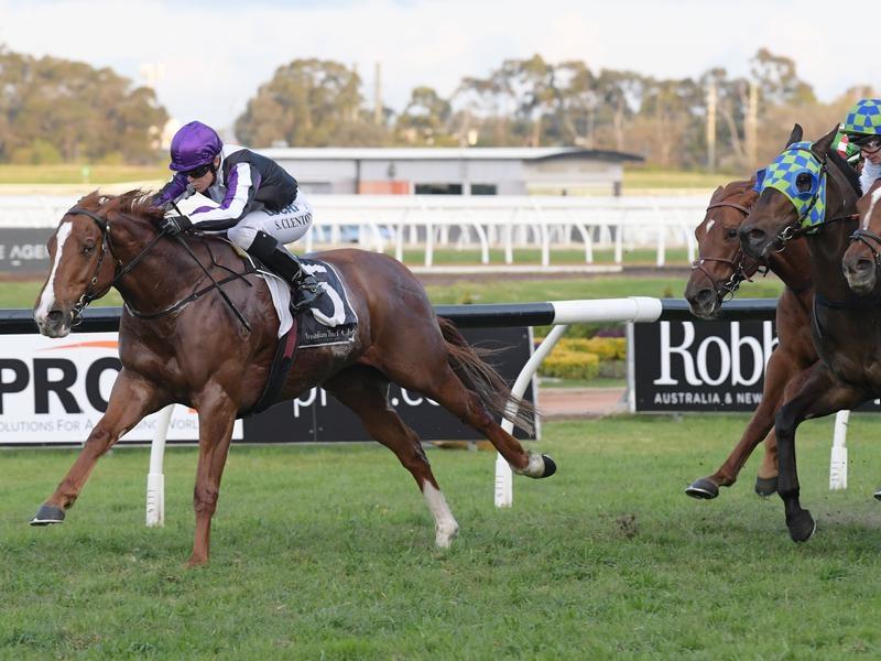 Doomben Preview May 31 - Wednesday Best Bets & Tips - RacingBase ...