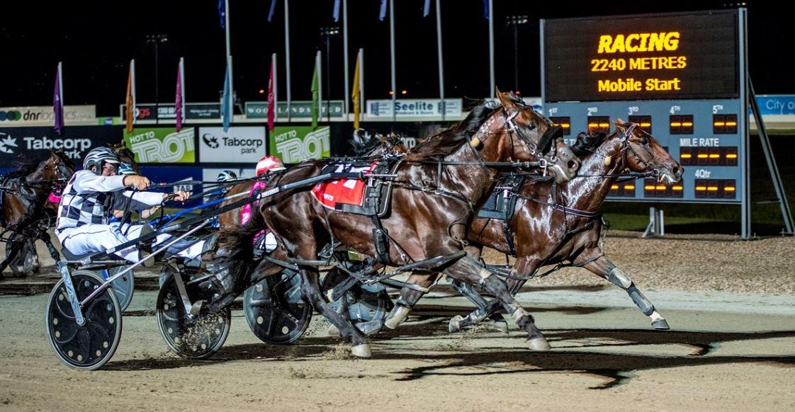 Harness Racing Tips | Best Bets | Australian Race Previews | Free Odds