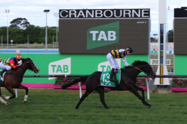 Cranbourne Tips | Expert Race Predictions & Best Bets - RacingBase