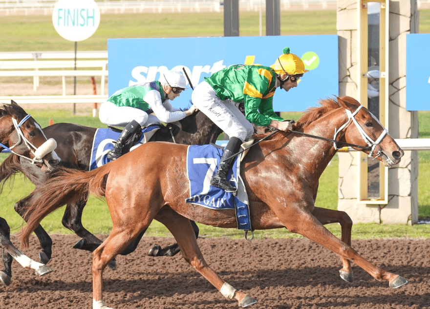 Pakenham Preview & Best Bets - 24/08/2023 - RacingBase May 19, 2026