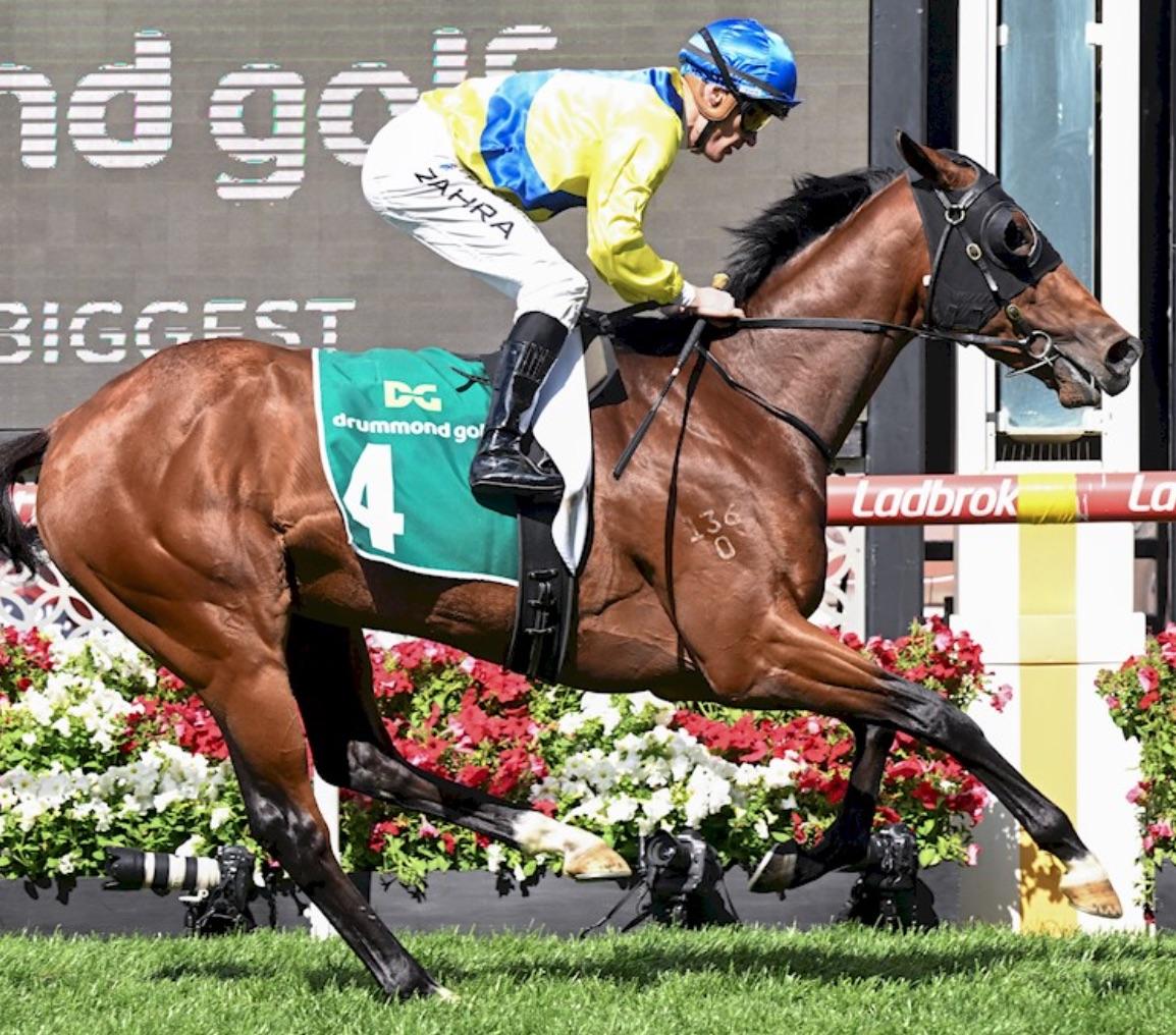 Victoria Derby Tips & Preview 2023 - RacingBase