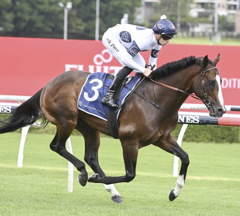 Winterbottom Stakes Tips & Preview 2023 - RacingBase