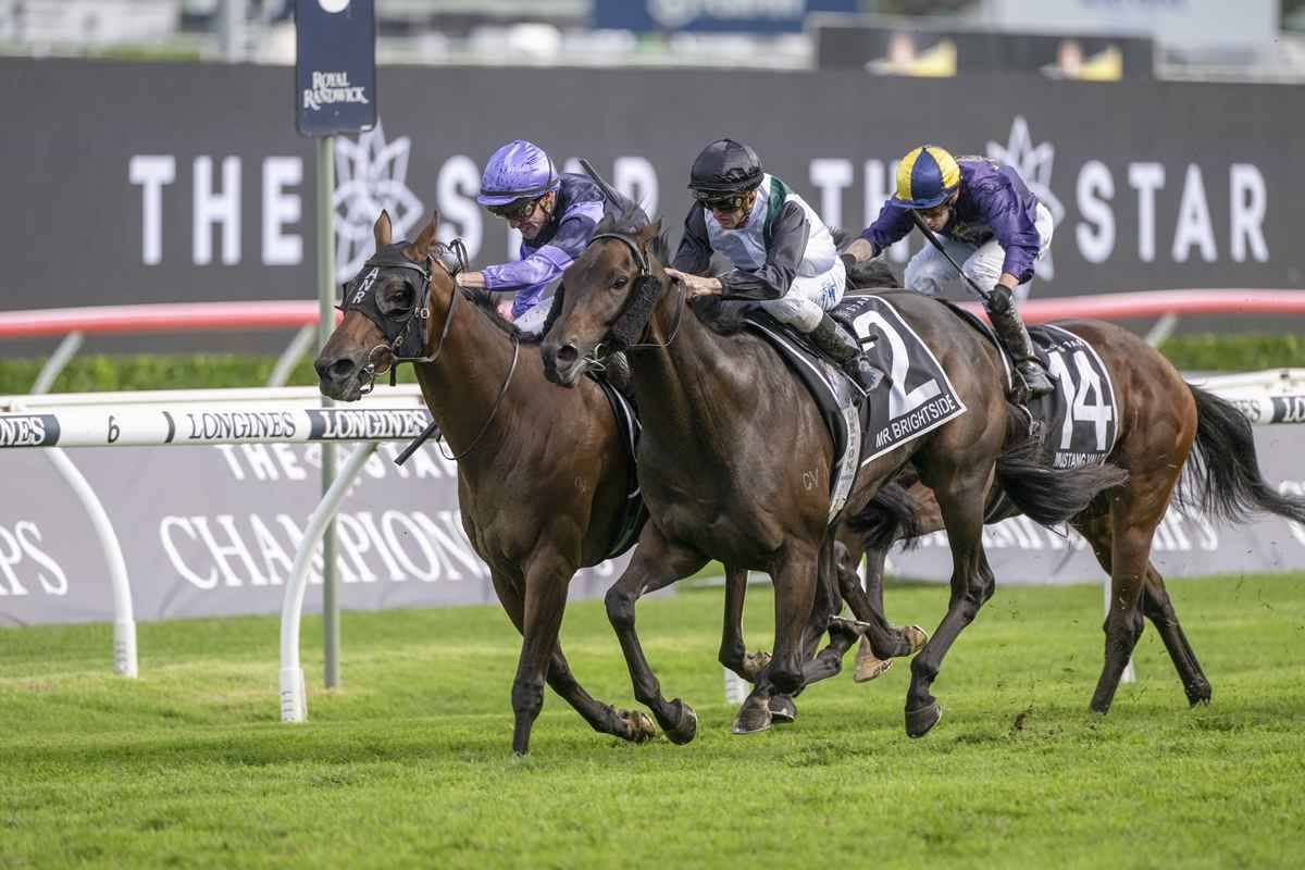 Randwick Preview & Best Bets – 25/04/2024 - RacingBase May 27, 2026