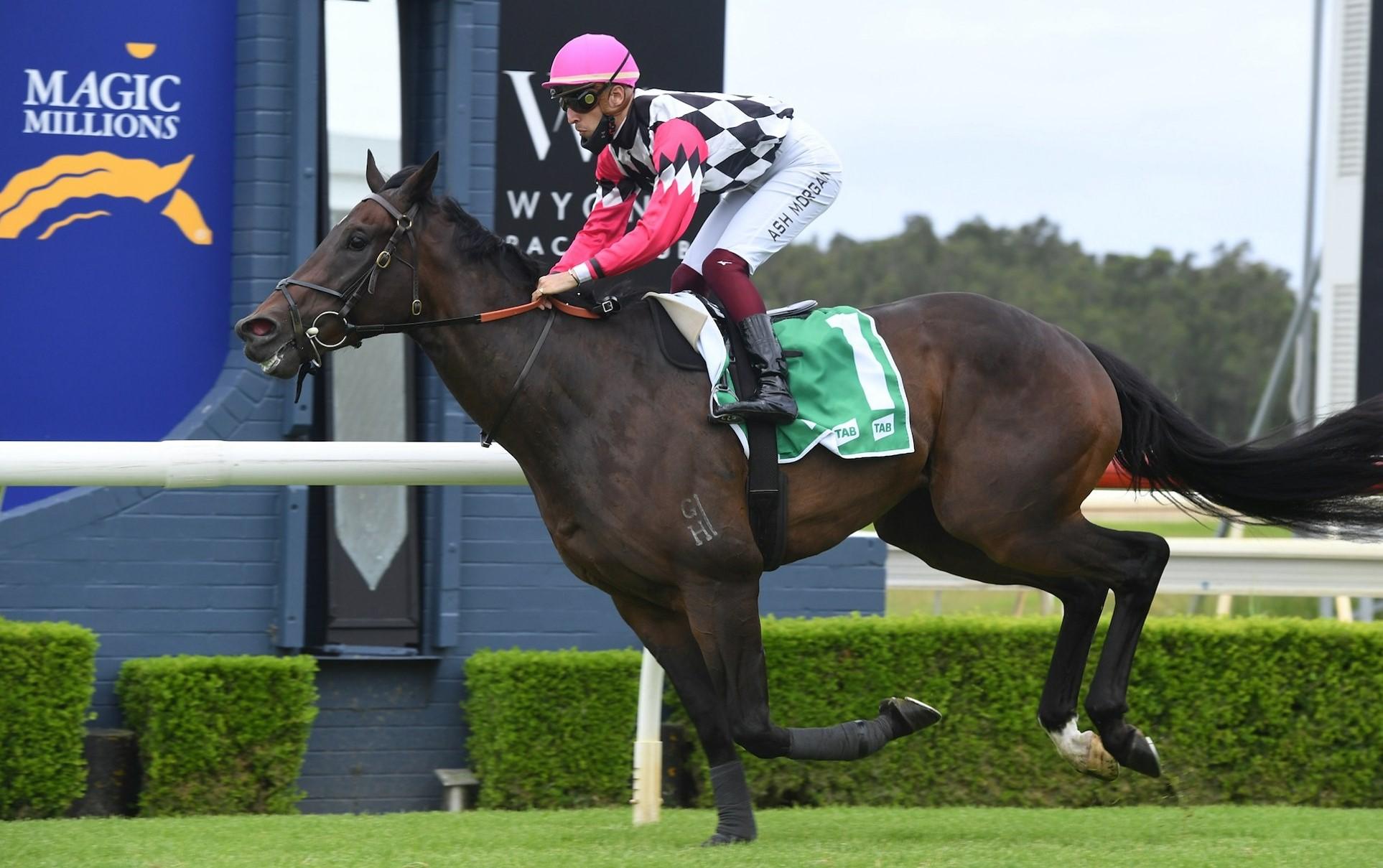 Wyong Tips | Expert Race Predictions & Best Bets - RacingBase