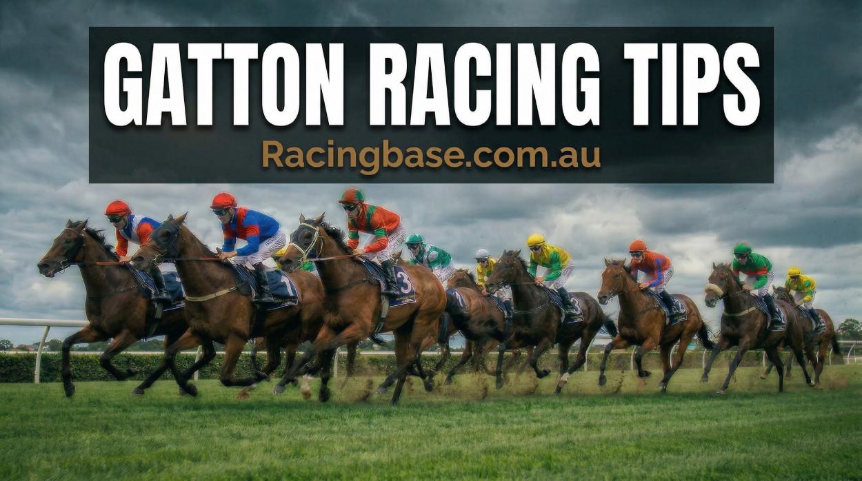 Gatton Racing Tips 1 March — does Bruce own this track? - RacingBase ...